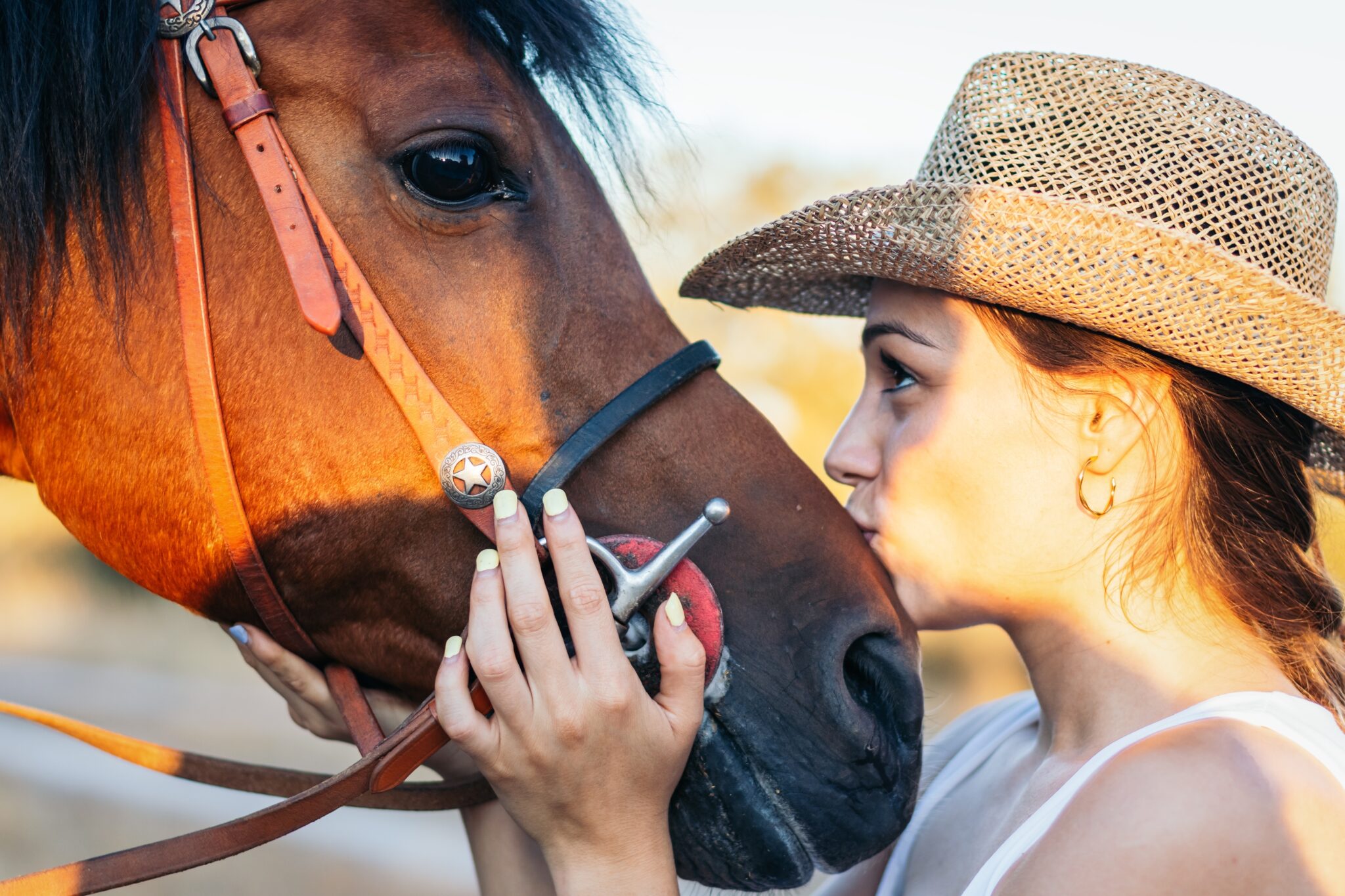 HVMS Veterinary Software - HVMS Hospital & Veterinary Management System